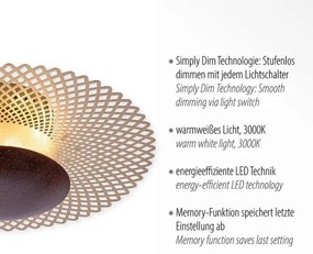 Paul Neuhaus 6551-48 - LED Stmívatelné stropní svítidlo NEVIS LED/18W/230V