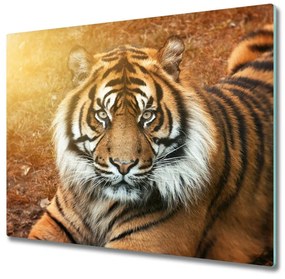 Skleněná krájecí deska Bengálský tygr 60x52 cm