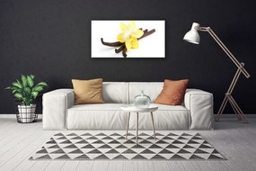 Obraz na plátně Vanilka Rostlina Příroda 100x50 cm
