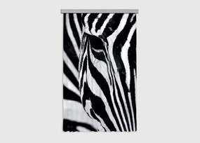 Dekorativní závěs Zebra | 140 x 245 cm | DFCPL6519