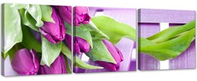 Gario Sada obrazů na plátně Fialové tulipány v kytici - 3 dílná Rozměry: 90 x 30 cm