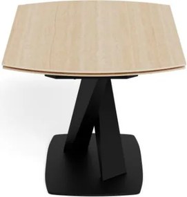 Rozkládací jídelní stůl Morella 160/240 cm béžový/černý