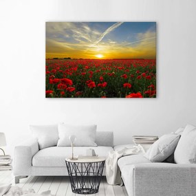 Gario Obraz na plátně Louka červených máků na slunci Rozměry: 60 x 40 cm