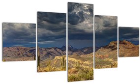 Obraz - kaktusy v přírodě (125x70 cm)
