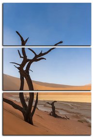 Obraz na plátně - Mrtvý strom v dunách - obdélník 7130B (90x60 cm  )