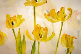Ilustrace Flowering tulips, Nel Talen