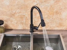 Kuchyňská baterie EYN BI1410 s výsuvnou víceproudovou sprškou, matná černá
