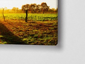 Liox Obraz podzimní krajina v západu slunce Rozměr: 150 x 100 cm