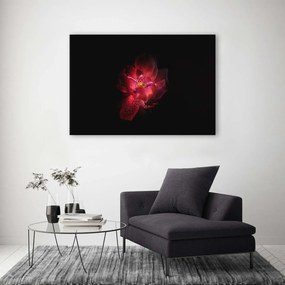 Gario Obraz na plátně Noční květina Rozměry: 60 x 40 cm