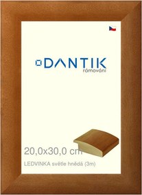 DANTIK rámeček 20x30 | LEDVINKA světle hnědá (Sklo Čiré)