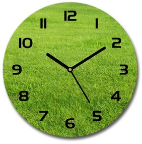 Wallmuralia Skleněné hodiny kulaté Zelená tráva fi 30 cm