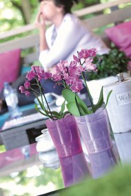 Květináč Coubi Orchidea transparentní mat