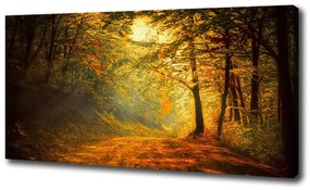 Wallmuralia Foto obraz na plátně Podzimní les 100x50