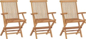vidaXL Skládací zahradní židle 3 ks masivní teakové dřevo [315444]