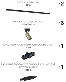 Zuma Line 3022 - Bodové svítidlo v liš. systému TUBE 6xGU10/35W/230V černá/zlatá