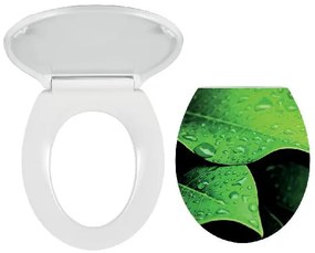 Novaservis Prestige - WC sedátko, duroplast, Softclose, bílá/barevný potisk WC/SOFTNATURE