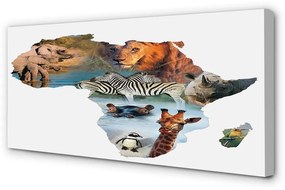Obrazy na plátně Zebra žirafa tygr 140x70 cm