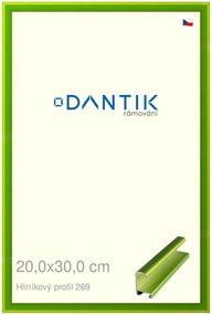 DANTIK rámeček 20x30 | ALU profil 7269 Zelená Smaragd broušená (Sklo Čiré)