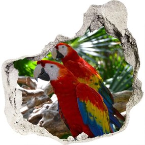 Wallmuralia Díra 3D fototapeta nálepka Papoušek Ara 75x75 cm