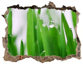 Wallmuralia Samolepící díra nálepka Stébla trávy 95x64 cm