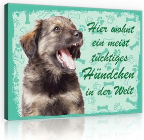 Obraz 80x60 Štěňátko pejsek roztomilý zábavný mazlíček kosti stopy tlapky