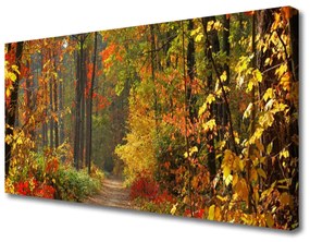 Obraz na plátně Les Příroda Podzim 100x50 cm