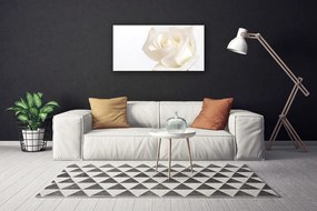 Obraz na plátně Růže Květiny 120x60 cm