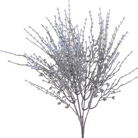 drobnolistá rostlina - šedá tmavší
