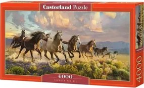 Castorland 400430 Puzzle Hřmící prérie / 4000 dílků / od 9 let