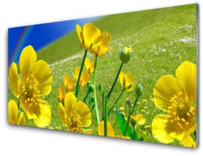 Obraz na skle Louka Květiny Duha Příroda 120x60 cm