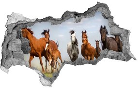 Wallmuralia Díra 3D fototapeta nálepka Koně ve cvalu 95x73 cm