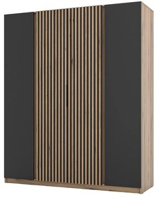 Šatní skříň KAJA 2F 2LAM | 200 cm | bez zrcadla | VYSOKÁ | evoke/černá + lamely