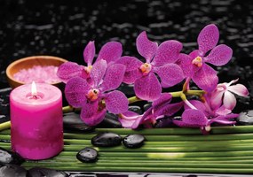 Fototapeta - Růžové orchideje (254x184 cm)