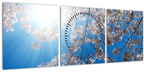 Obraz - Třešňové květy (s hodinami) (90x30 cm)