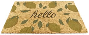 Rohožka z kokosového vlákna 40x60 cm Hello Lemons – Artsy Doormats