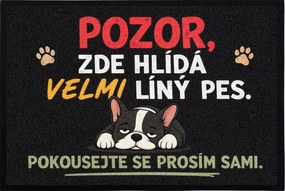 Mercury Flooring, Rohožka Líný pes 40x60 cm - na ven i na doma, 40x60, šedá