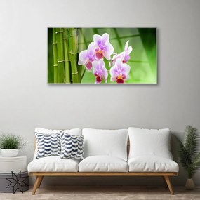 Obraz na skle Bambus Orchidej Květiny Zen 125x50 cm