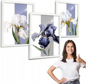 Sada 3 obrazů vzor Orchideje Květiny bílý rámeček 40x50 na plexiskle triptych