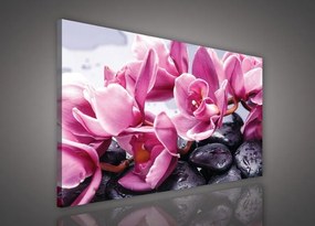 Postershop Obraz na plátně: Lázeňské kameny a růžové orchideje - 75x100 cm