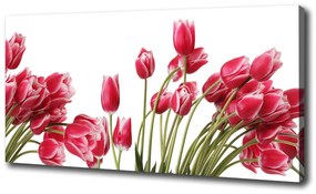 Wallmuralia Foto obraz na plátně Červené tulipány 100x50