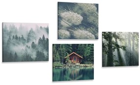 Set obrazů přírodní krásy - 4x 60x60 cm