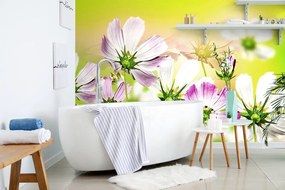 Tapeta krásné zahradní květiny - 300x200 cm