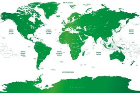 Samolepící tapeta mapa světa s jednotlivými státy v zelené barvě - 300x200 cm