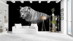 Malvis ® Tapeta Tygr v černém inkoustu Vel. (šířka x výška): 432 x 290 cm