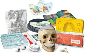 Vědecká zábava LAB Bláznivá anatomie 50697