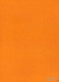 Breno Metrážový koberec DESTINY 470 oranžový, šíře 200 cm, Oranžová