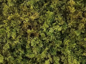 Shaggy moss green/brown, dílec 50 x 50 cm