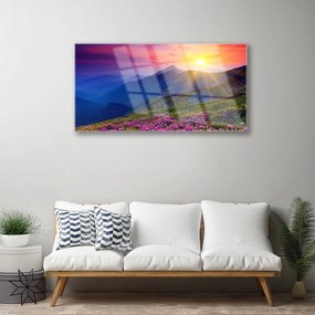 Obraz na skle Hory Květ Louka Krajina 100x50 cm