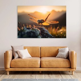 Obraz na plátně - vážka sedící na kameni při západu slunce FeelHappy.cz Velikost obrazu: 180 x 120 cm