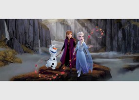 Dětská vliesová fototapeta na zed' Ledové království Rybník, Disney | 202 x 90 cm | DFTDNH 5386